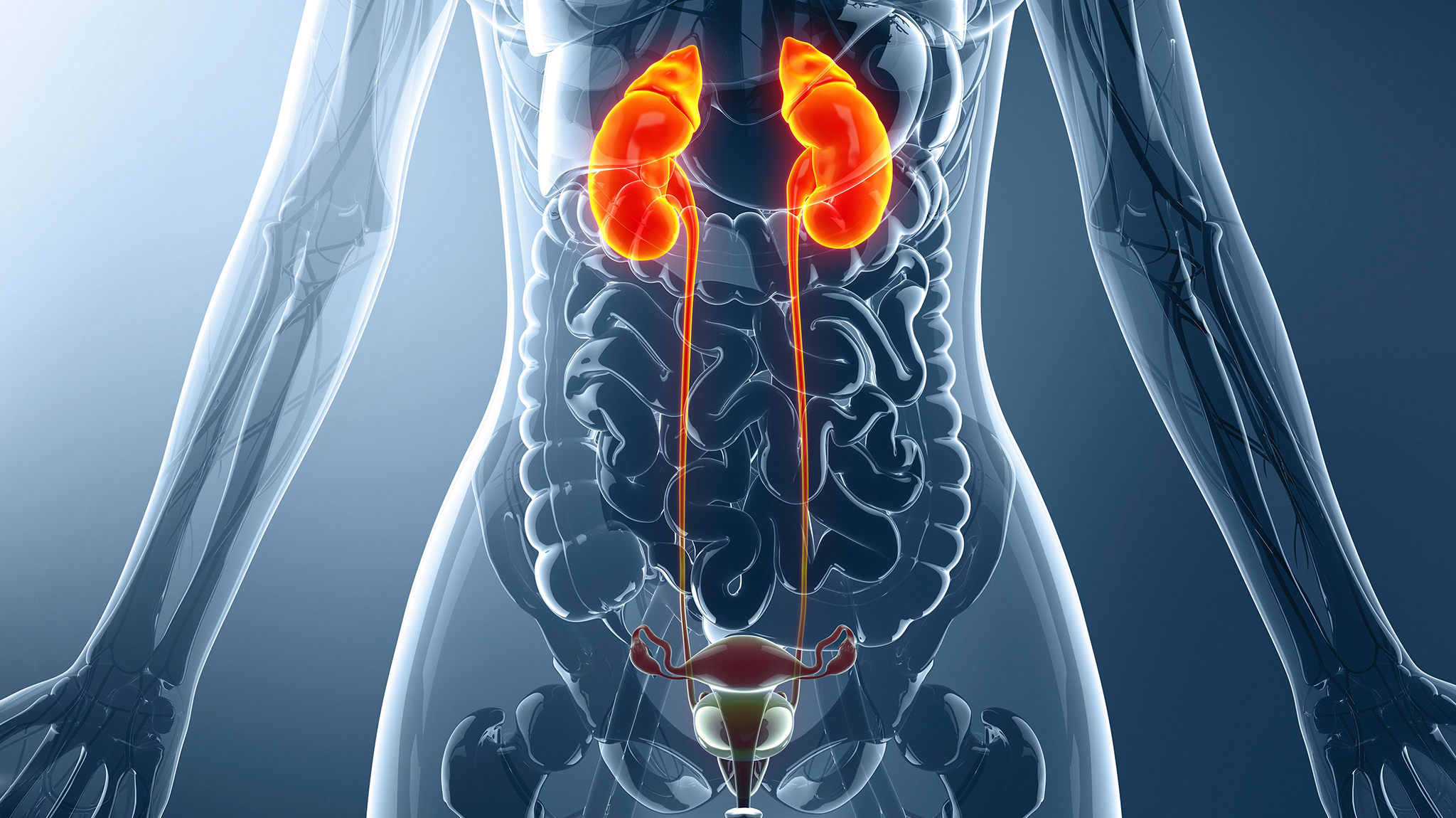 Urology - Global Oncology Academy